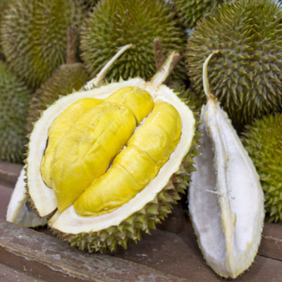 Durian instant powder freeze dried supplier - RealclearBio
