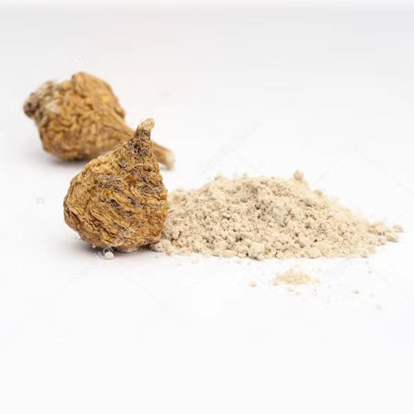 Wholesale Maca Root Dry Extract Manufacturer - RealclearBio