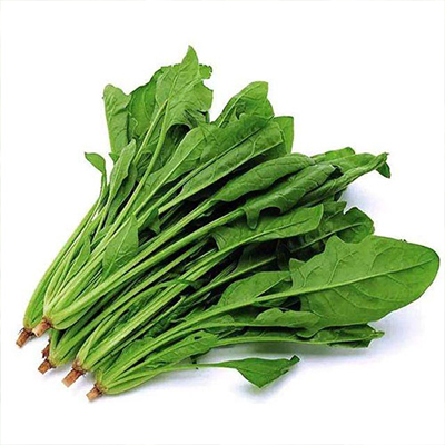 Red&Green Dehydrated Spinach Powder Wholesale - RealclearBio